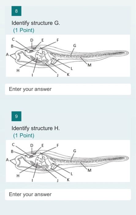 Solved Identify structure G. (1 Point)Identify structure K. | Chegg.com