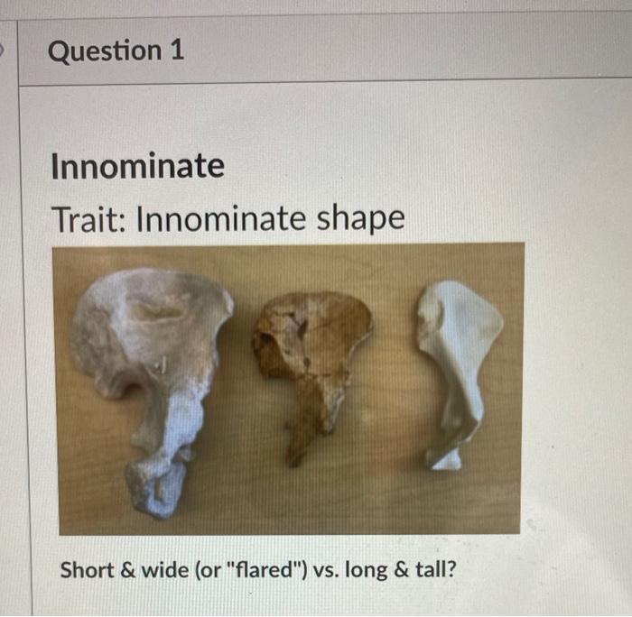 Question 1 Innominate Trait: Innominate shape Short & | Chegg.com