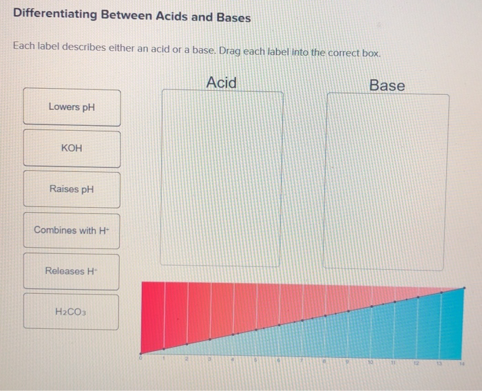 Solved Differentiating Between Acids and Bases Each label | Chegg.com