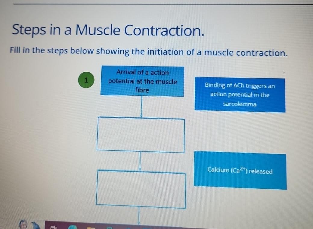 Solved Steps in a Muscle Contraction.Fill in the steps below | Chegg.com