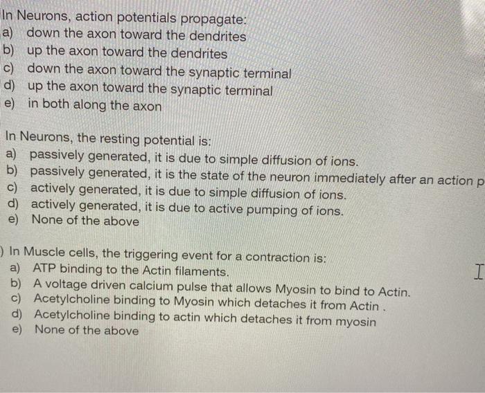 Solved In Neurons, action potentials propagate: a) down the | Chegg.com