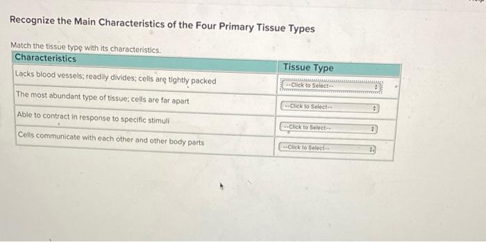 Solved Recognize the Main Characteristics of the Four | Chegg.com
