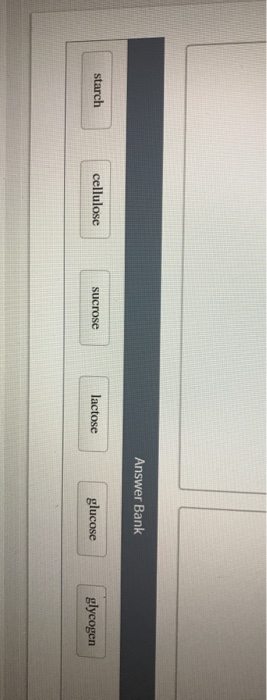 Solved Classify each carbohydrate as simple or complex. | Chegg.com