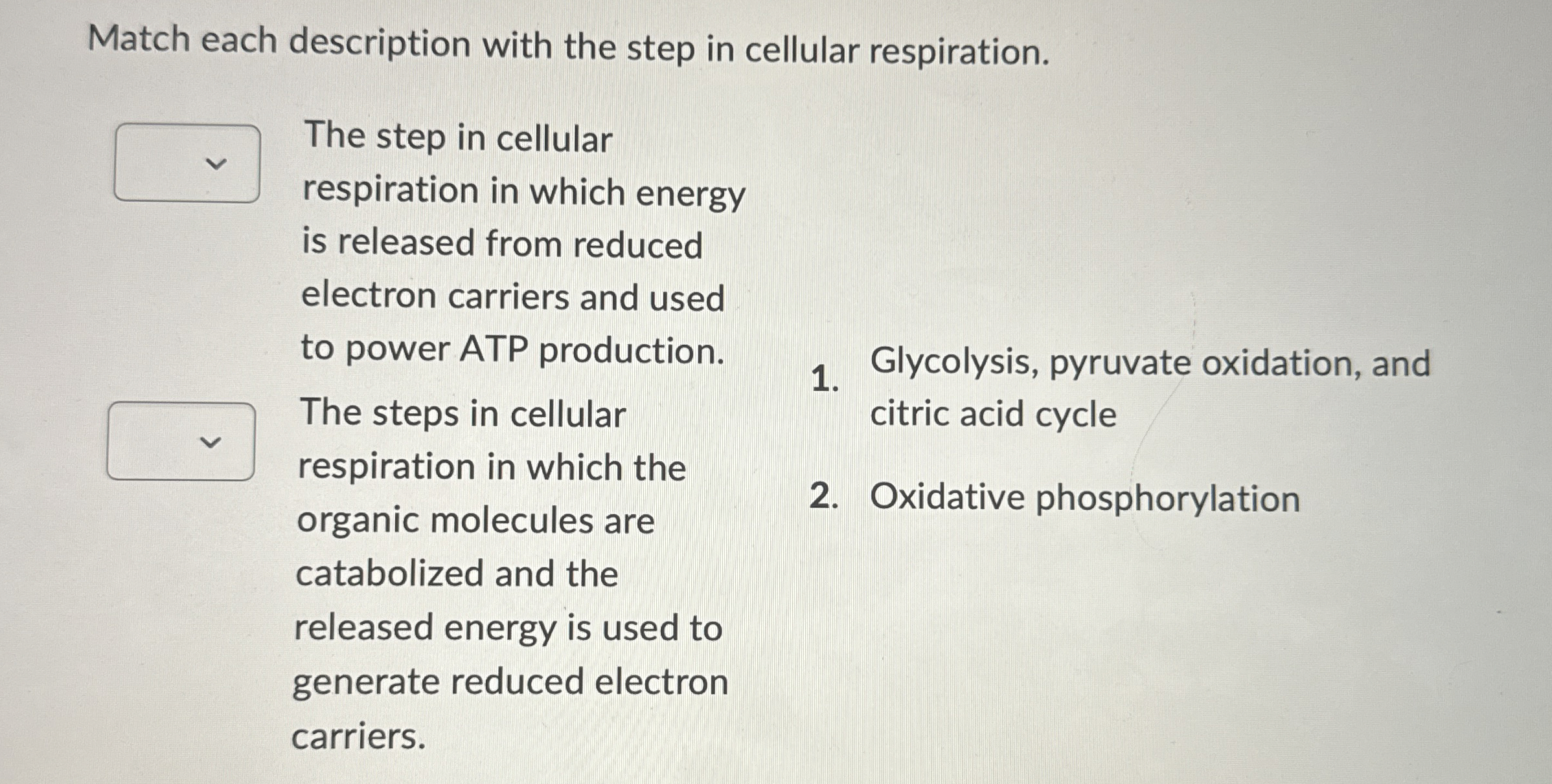 Solved Match each description with the step in cellular | Chegg.com