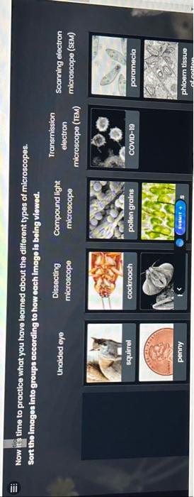 Solved Knowledge Check What Can Be Viewed with | Chegg.com