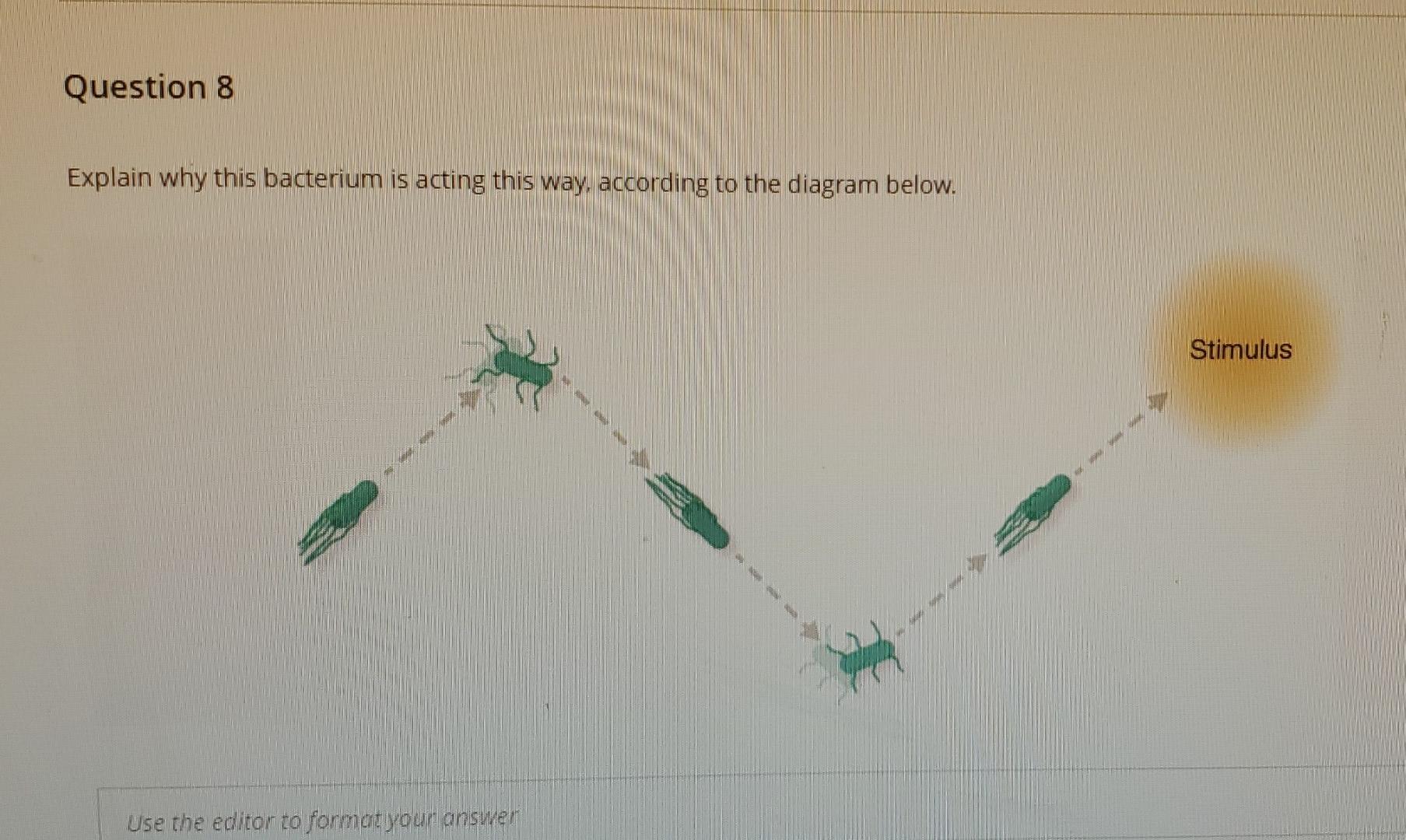 Solved Question 8 Explain why this bacterium is acting this | Chegg.com