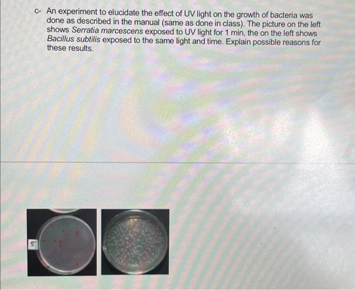 Solved C- An experiment to elucidate the effect of UV light | Chegg.com