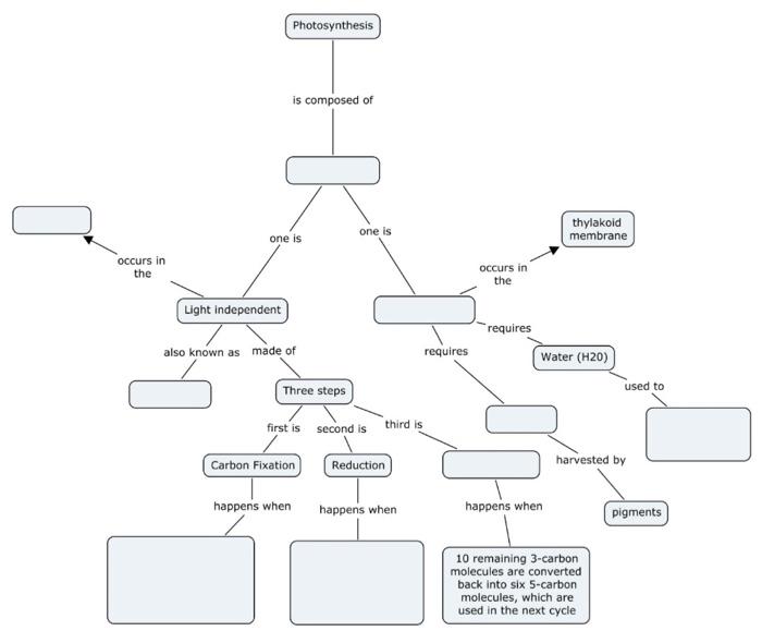 Solved Concept Map of Photosynthesis Photosynthesis is | Chegg.com