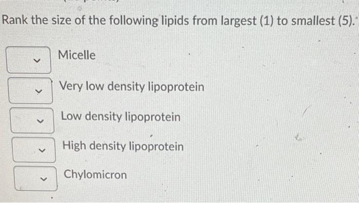 Solved Rank the size of the following lipids from largest | Chegg.com