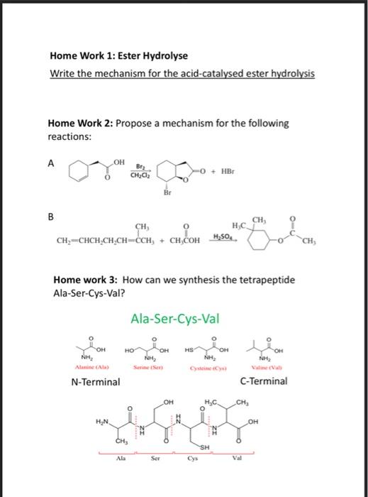 Home Work 1: Ester Hydrolyse Write the mechanism for | Chegg.com