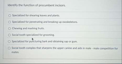 Solved Identify the function of procumbent | Chegg.com