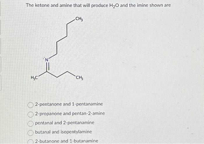 Solved The ketone and amine that will produce H₂O and the | Chegg.com