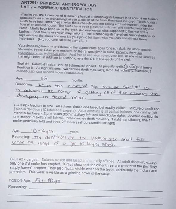 ANT2511 PHYSICAL ANTHROPOLOGY LAB 7 - FORENSIC | Chegg.com