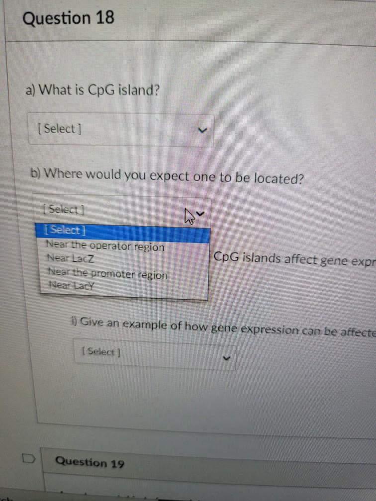 Solved 5 pts Question 18 a) What is CpG Island? Select 1 b) | Chegg.com
