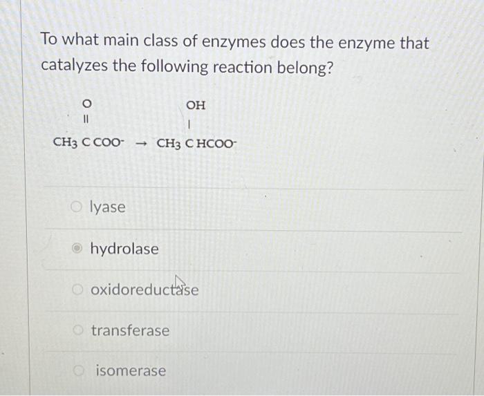 Solved To what main class of enzymes does the enzyme that | Chegg.com