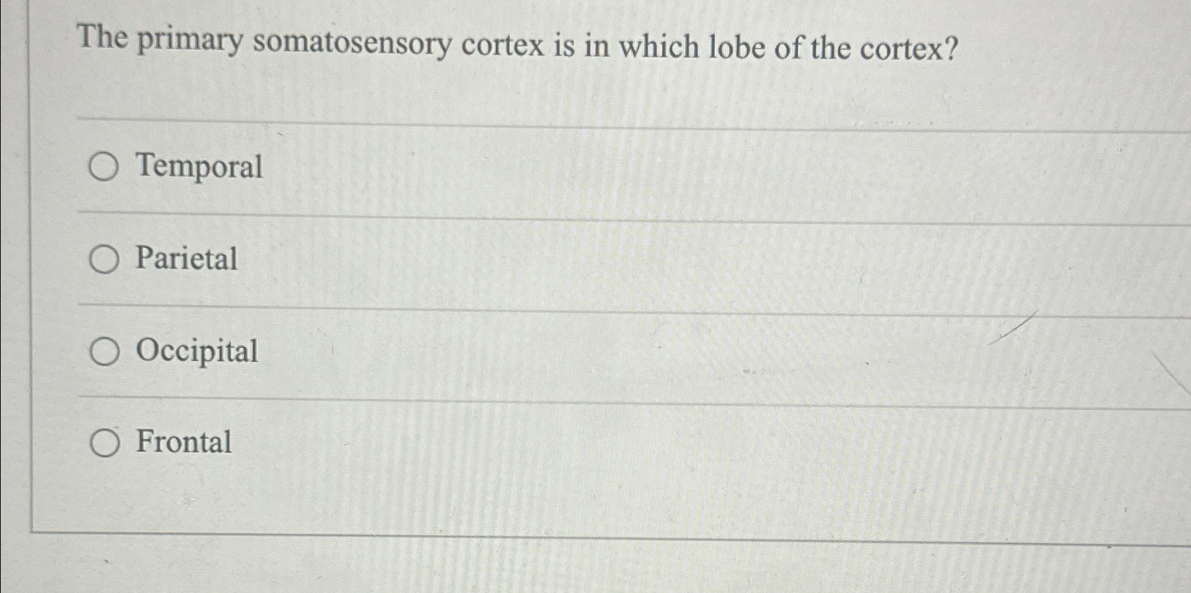 Solved The primary somatosensory cortex is in which lobe of | Chegg.com