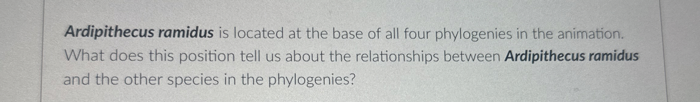 Solved Ardipithecus ramidus is located at the base of all | Chegg.com