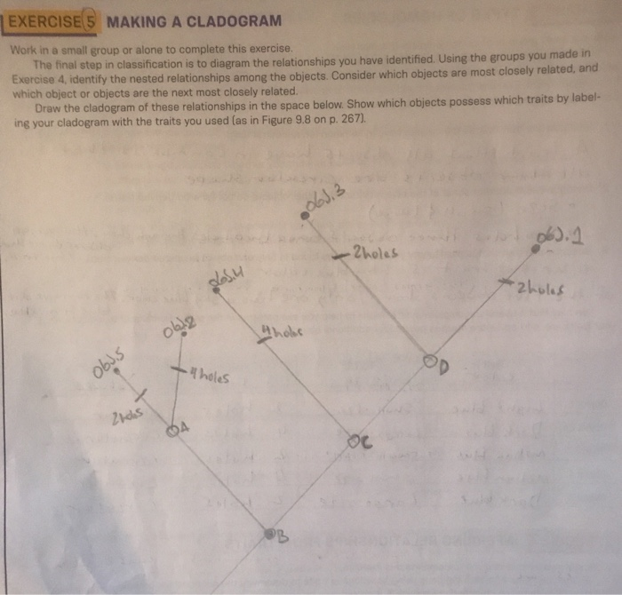 Solved EXERCISE 5 MAKING A CLADOGRAM Work in a small group | Chegg.com