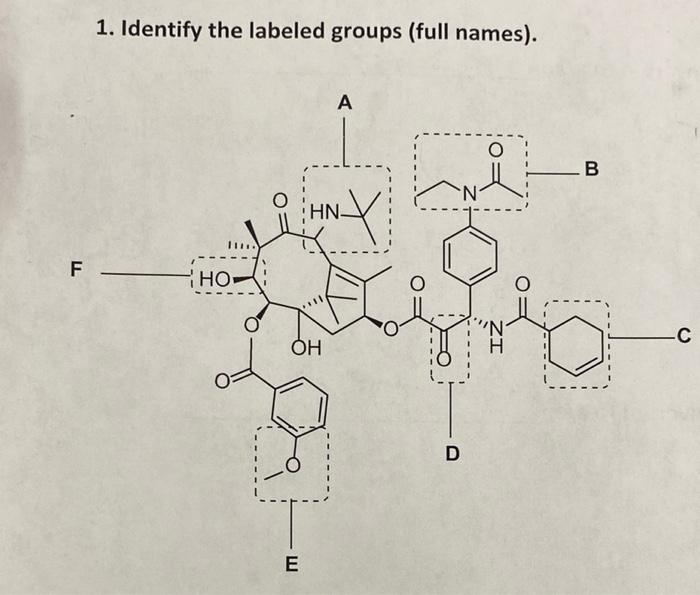 Solved 1. Identify the labeled groups (full names). | Chegg.com Solved 1. Identify the labeled groups (full names). | Chegg.com