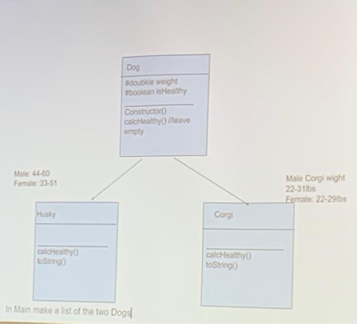 Solved code a program that has dog as the parent and 2 | Chegg.com