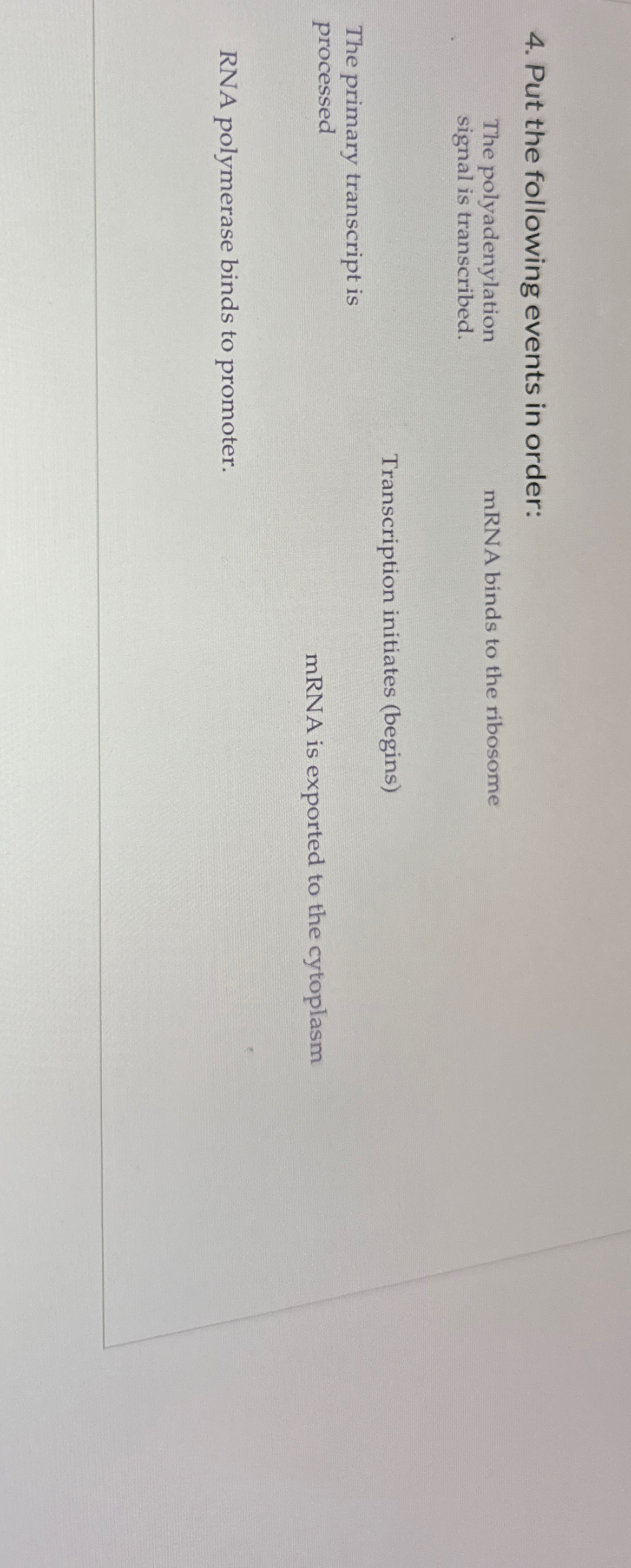 Solved Put the following events in order:The polyadenylation | Chegg.com