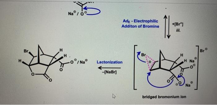 Solved Br SwAc-Base Catalyzed Anhydride Hydrolysis | Chegg.com