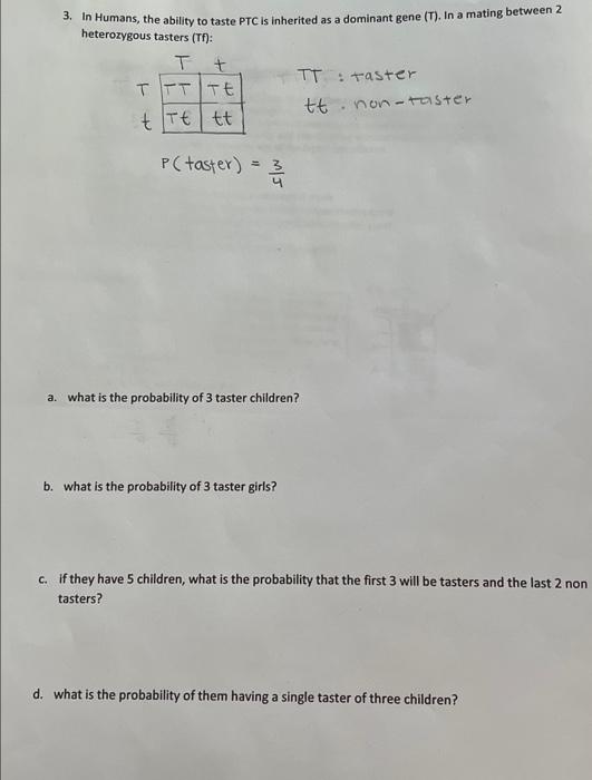 Solved 3. In Humans, the ability to taste PTC is inherited | Chegg.com