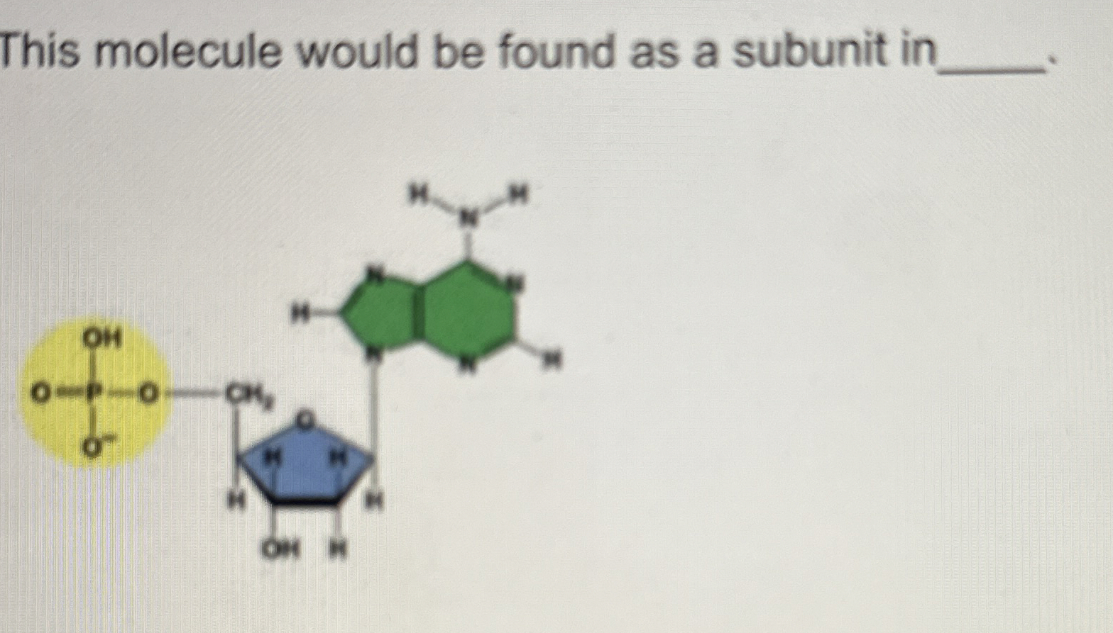 Solved This molecule would be found as a subunit in | Chegg.com