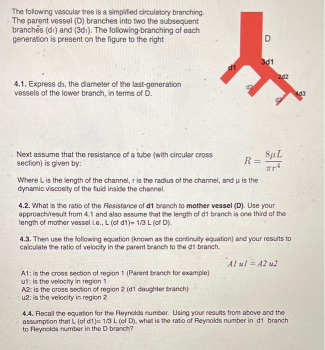 Solved The following vascular tree is a simplified | Chegg.com