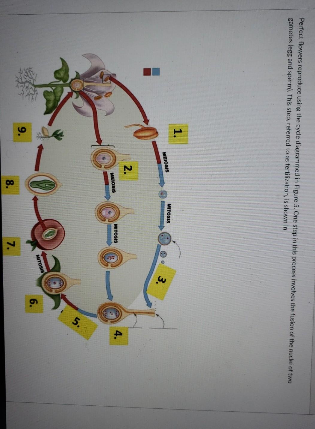 Solved > Question 7 8 pts Darwin's Four Postulates describe | Chegg.com