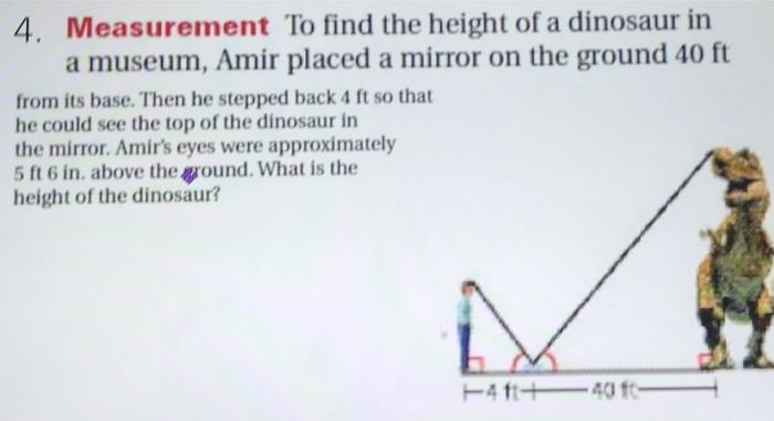 Solved 4. Measurement To find the height of a dinosaur in a | Chegg.com