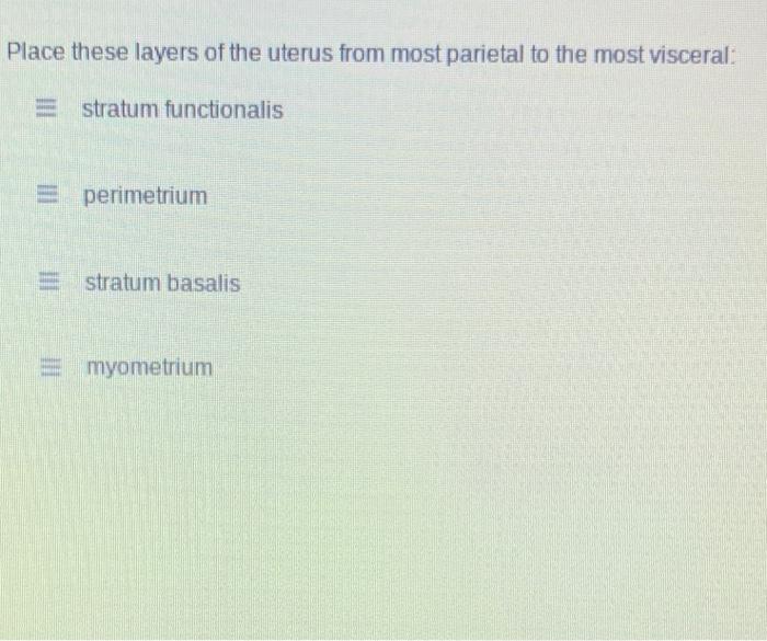 Solved Place these layers of the uterus from most parietal | Chegg.com