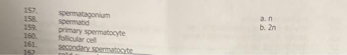 Solved 157. Spermatagonium spermatid a. n primary | Chegg.com