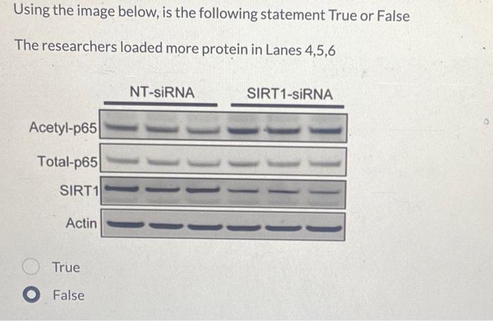 Solved Using the image below, is the following statement | Chegg.com