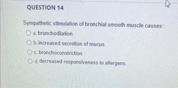Solved Sympathetic stimulation of bronchial smooth muscle | Chegg.com