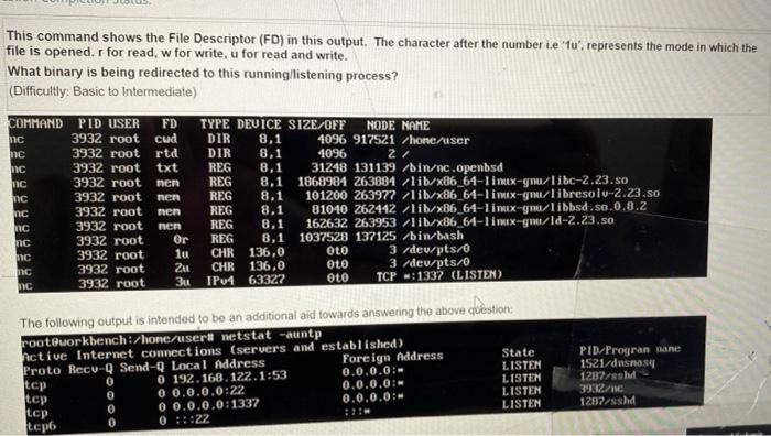 Solved This command shows the File Descriptor (FD) in this | Chegg.com