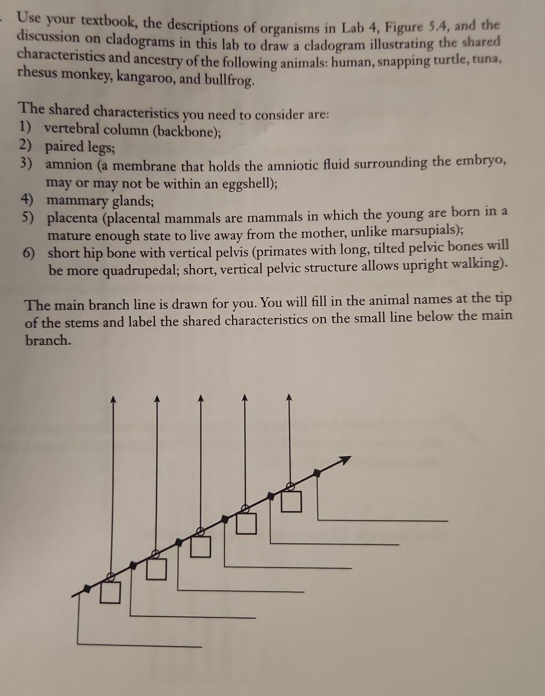 Solved Use your textbook, the descriptions of organisms in | Chegg.com