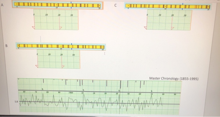 Make a skeleton plot for the three sample wood cores: | Chegg.com