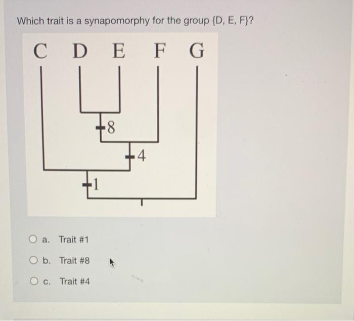 Solved Which trait is a synapomorphy for the group {D, E, | Chegg.com