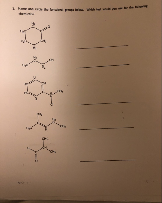 Solved 1. Name and circle the functional groups below. Which | Chegg.com