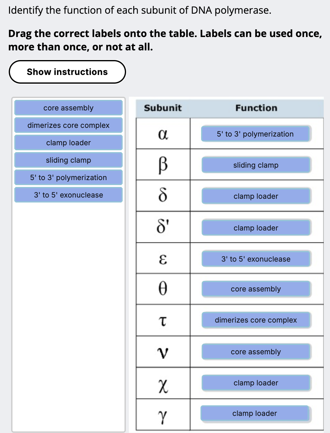 Solved Identify the function of each subunit of DNA | Chegg.com