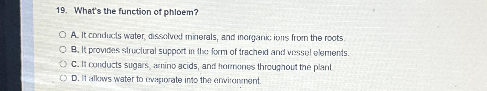 Solved Whats The Function Of Phloema ﻿it Conducts Water 2213