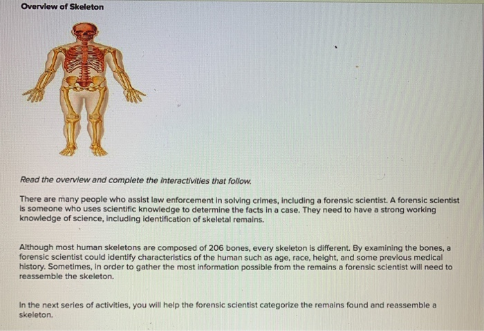 Solved Overview of Skeleton Read the overview and complete | Chegg.com