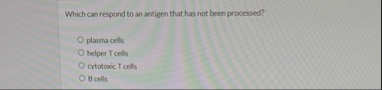 Solved Which can respond to an antigen that has not been | Chegg.com