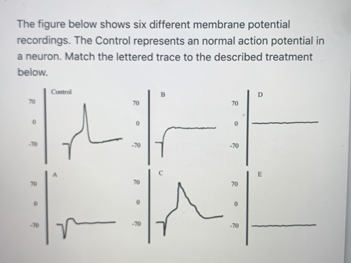Solved The figure below shows six different membrane | Chegg.com
