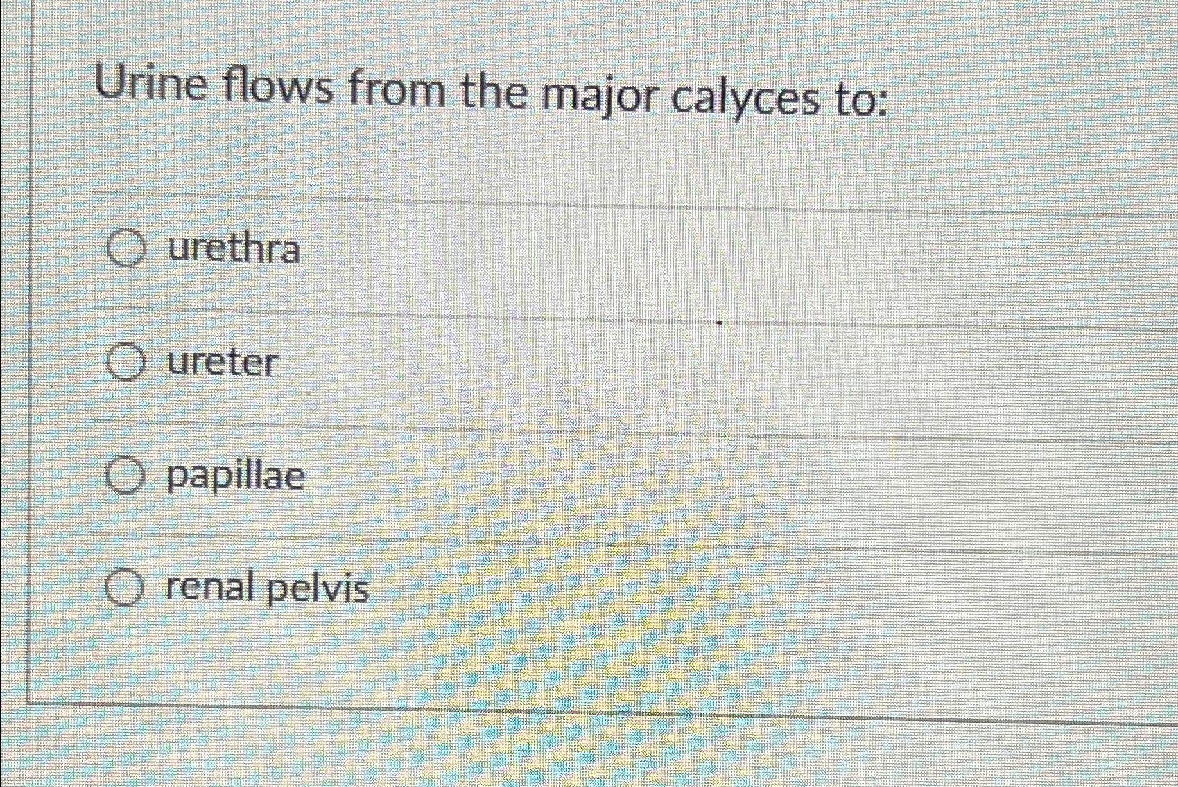 Solved Urine flows from the major calyces | Chegg.com