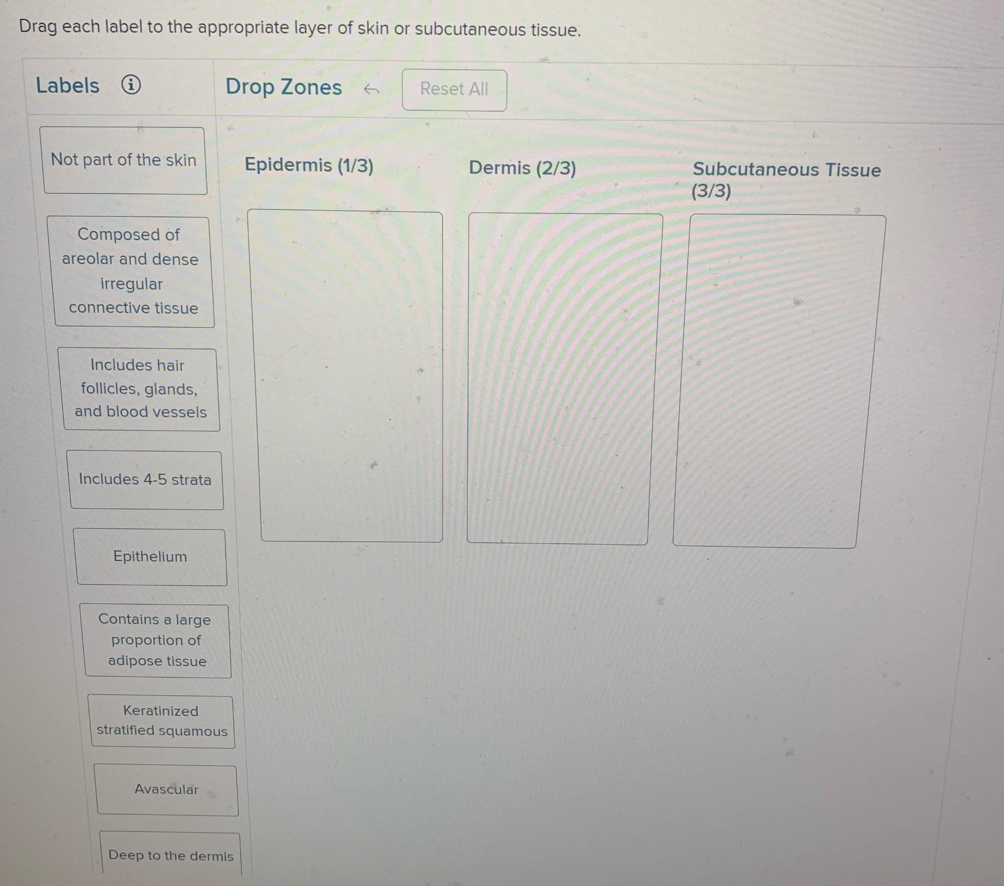 Solved Drag each label to the appropriate layer of skin or | Chegg.com