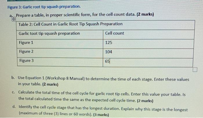 Figure 3: Garlic root tip squash preparation. a. | Chegg.com