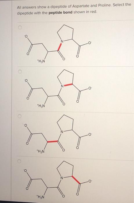 Solved All answers show a dipeptide of Aspartate and | Chegg.com