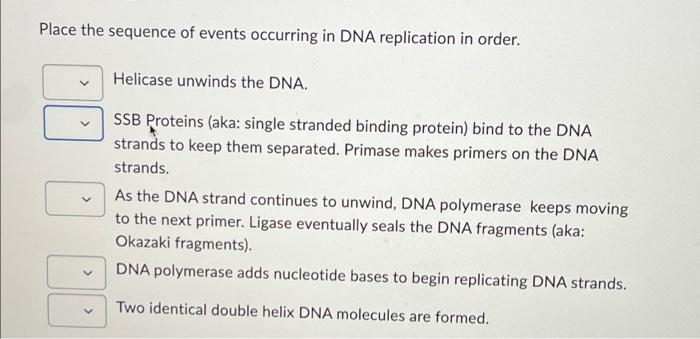 Solved Place the sequence of events occurring in DNA | Chegg.com